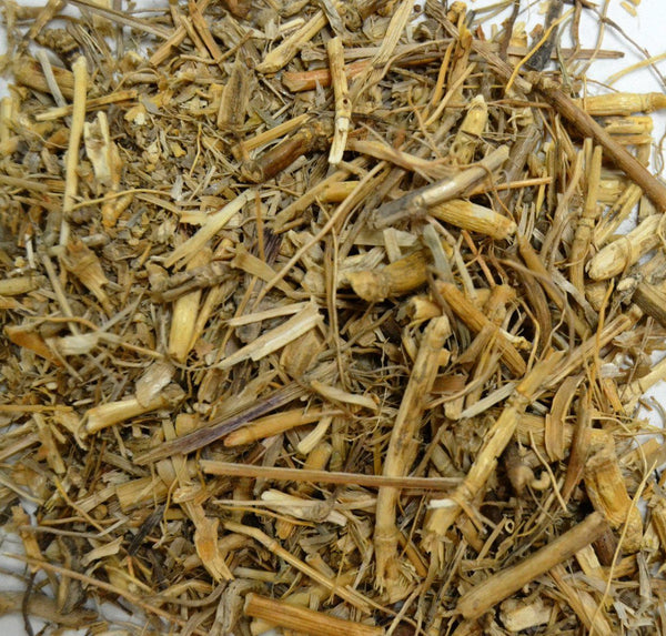 Couch Grass Root – Dragon Herbarium